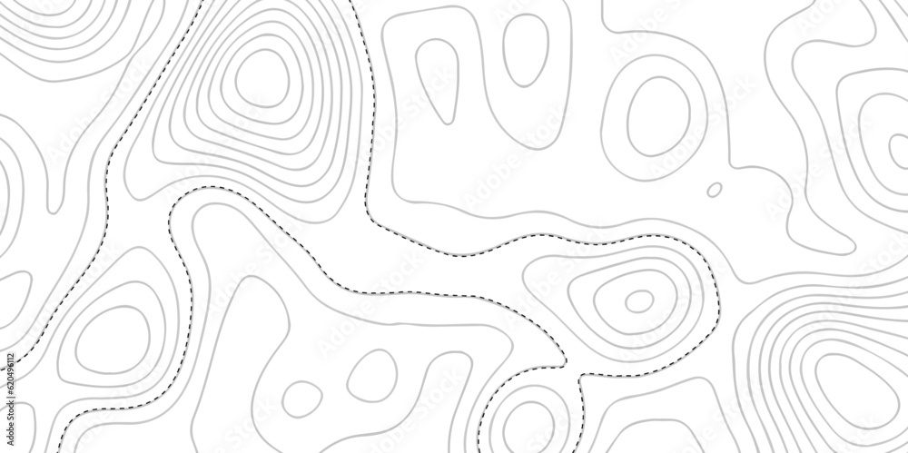 Topographic map background geographic line map with elevation ...