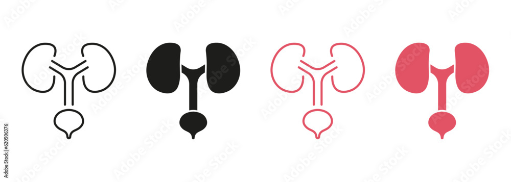 Human Urinary System Line and Silhouette Color Icon Set. Urology ...