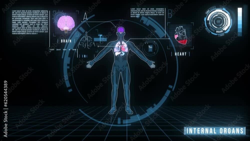 Medical Screen infographics with human internal organs and HUD elements ...