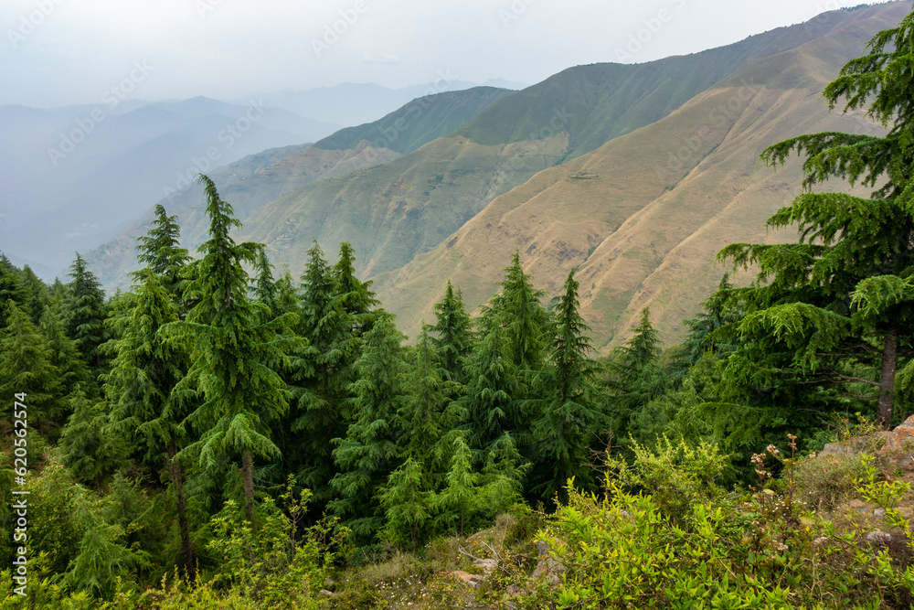 Valleys and mountain ridges of the Shivalik mountain range in the lower Himalayas with pine ...