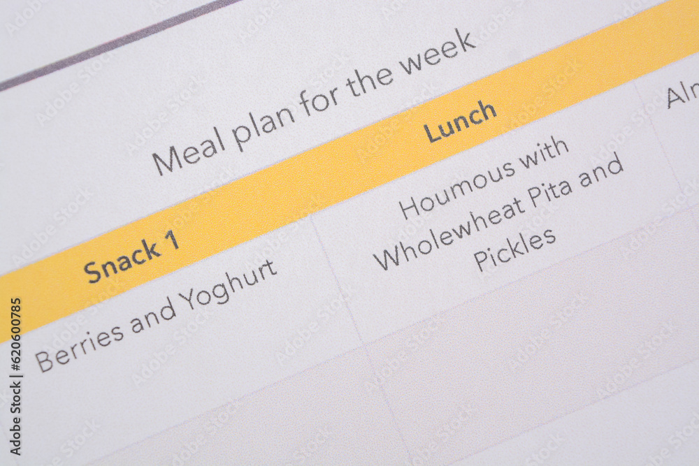 Healthy meal planning with a daily food ingredients list and a tiny ...