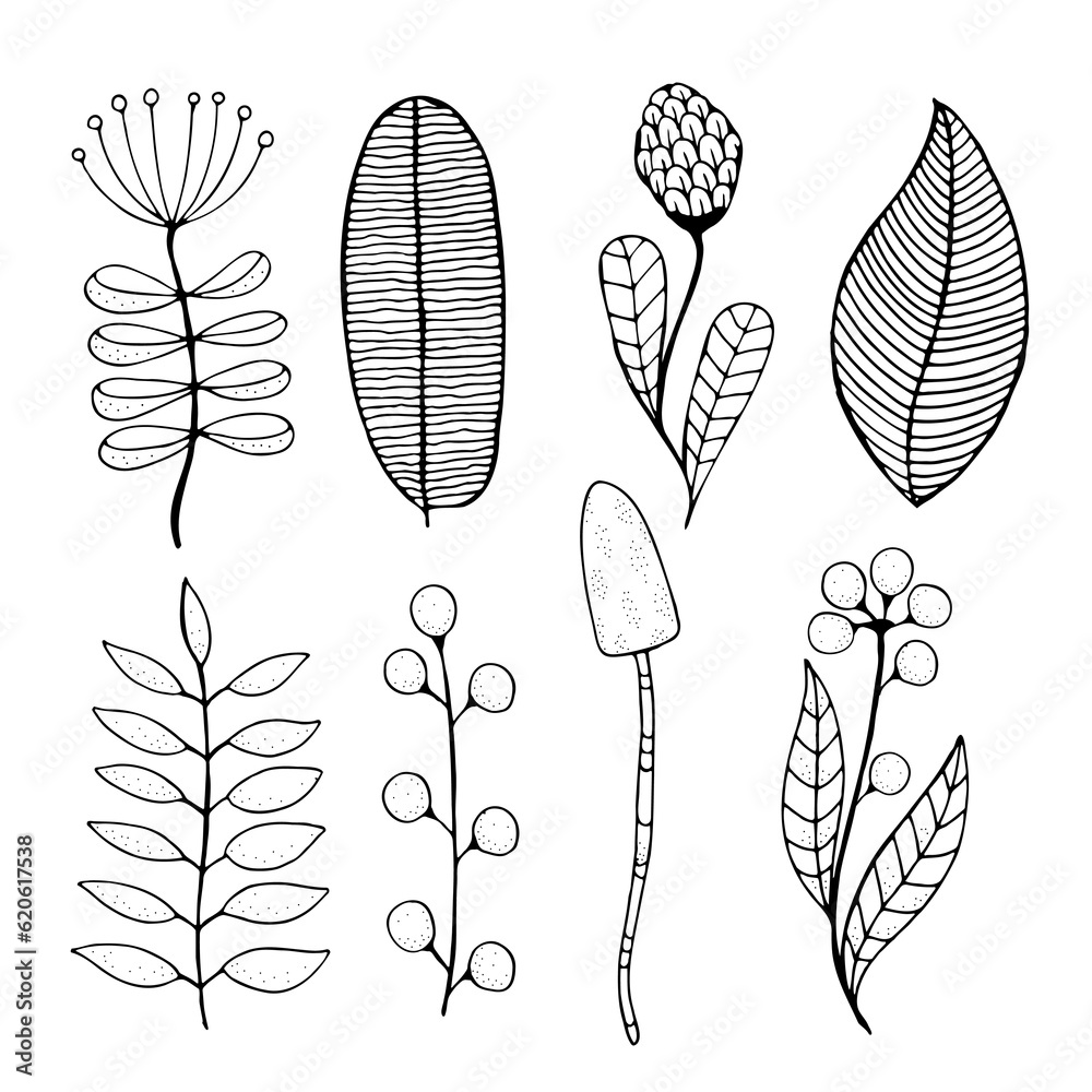Set of Flowers, Twigs and Leaves. Coloring book page. Black and white ...