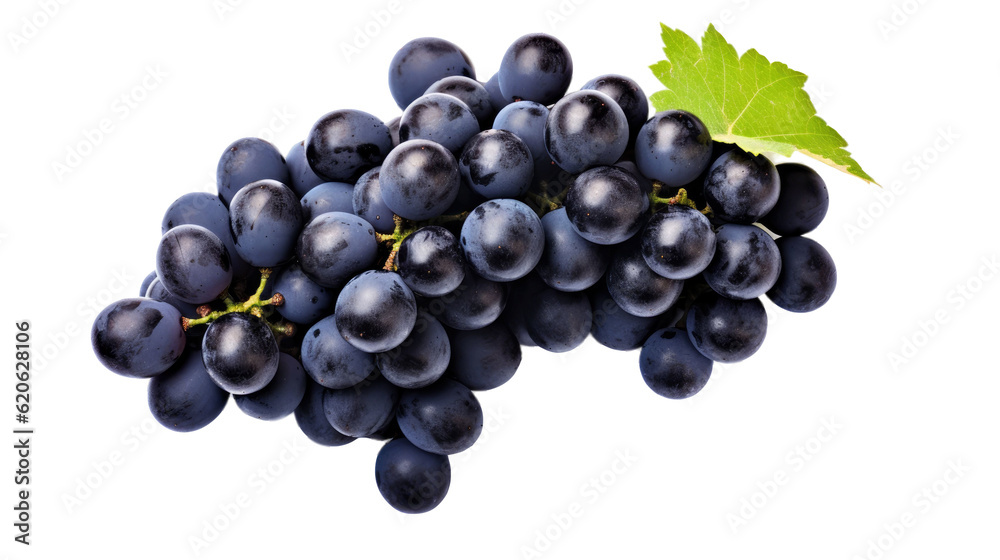 Cluster of fully ripened deep blue grapes placed on a transparent ...