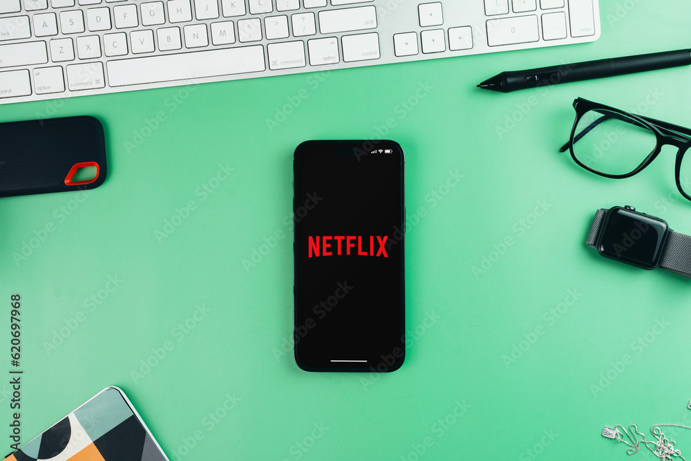Netflix streaming app on the smartphone iPhone 14 Pro screen on green ...