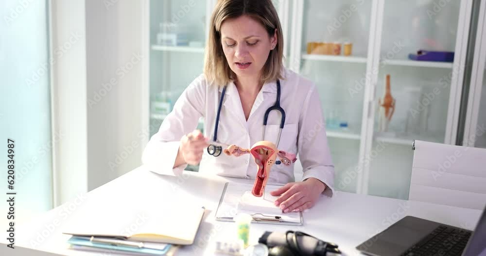 Gynecologist doctor points to model of female reproductive system in ...