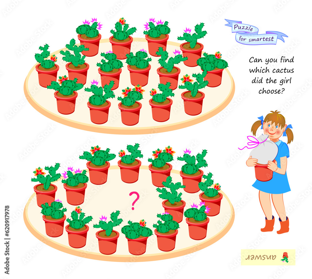 Logic puzzle for children and adults. Can you find which cactus did the ...