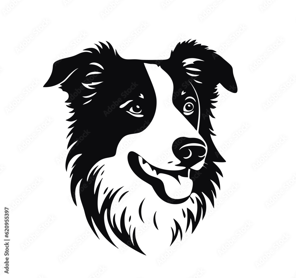 Vector isolated one single sitting Border Collie dog head front view black and white bw two ...