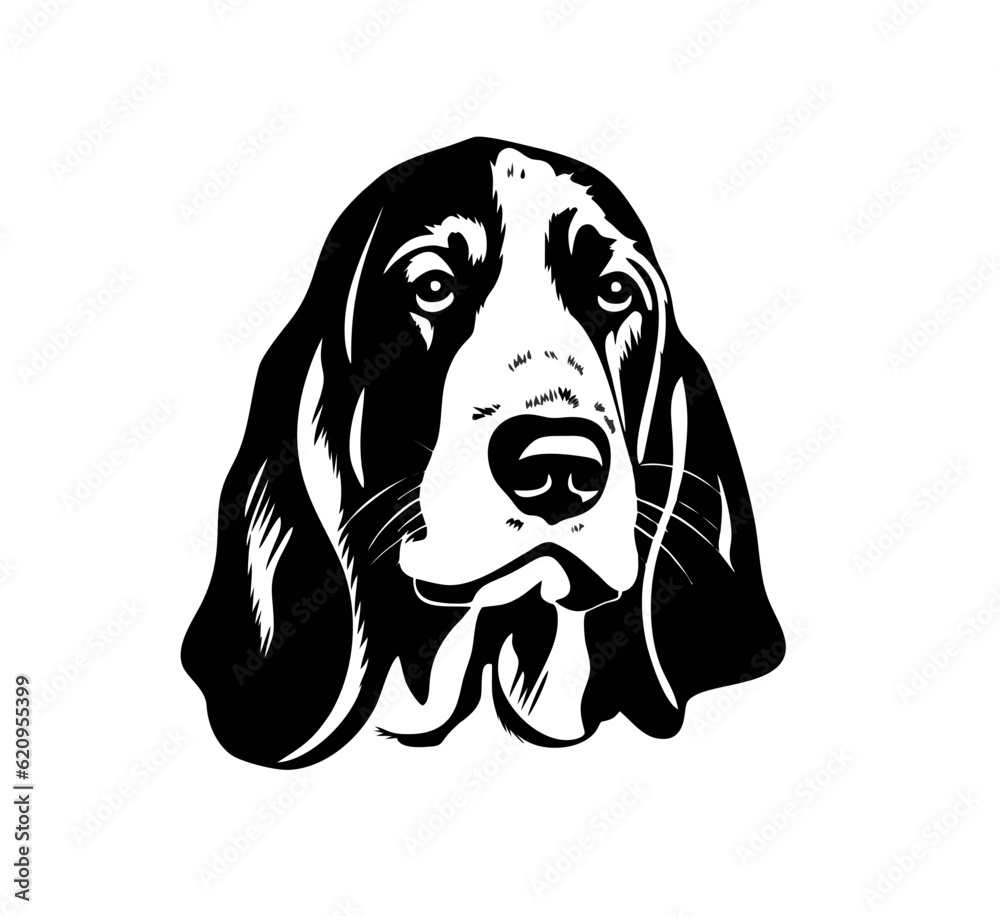 Vector isolated one single sitting Basset Hound dog head front view ...