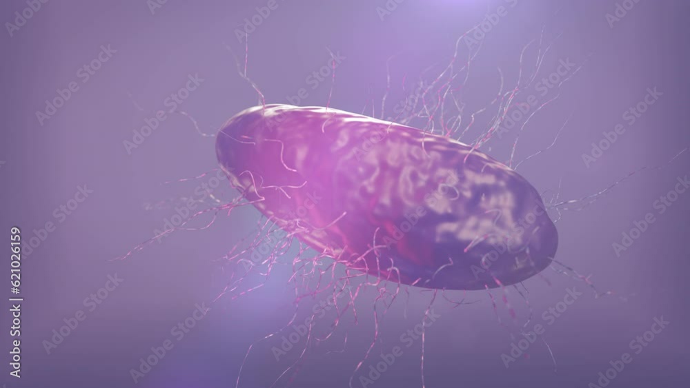 E coli bacteria in motion. Gram-negative rod shaped bacteria moving ...