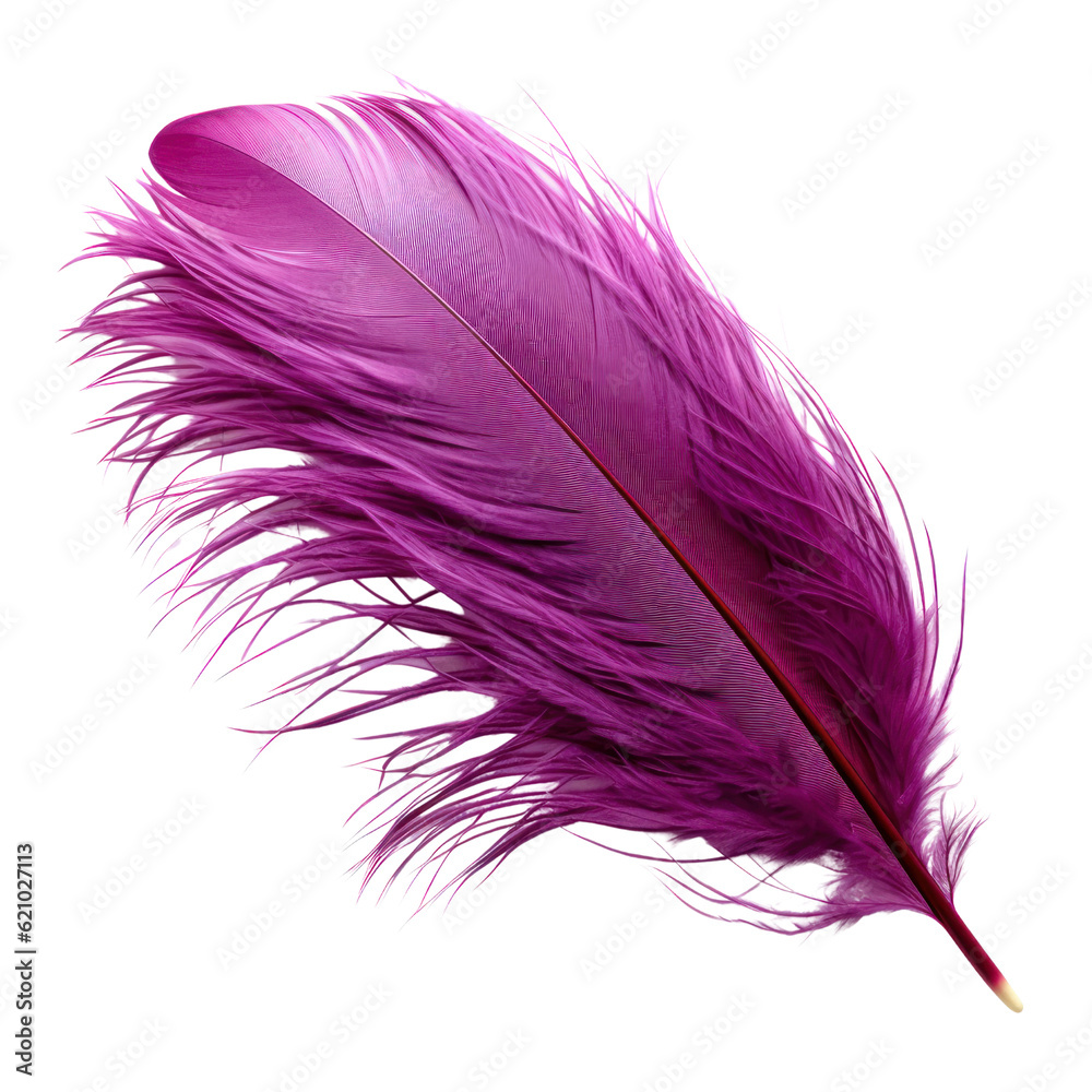 pink feather isolated on transparent background cutout Stock ...