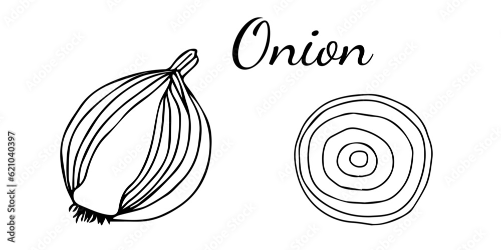 Hand drawn onion icon and lettering. Vegetables vector icon in old ink ...