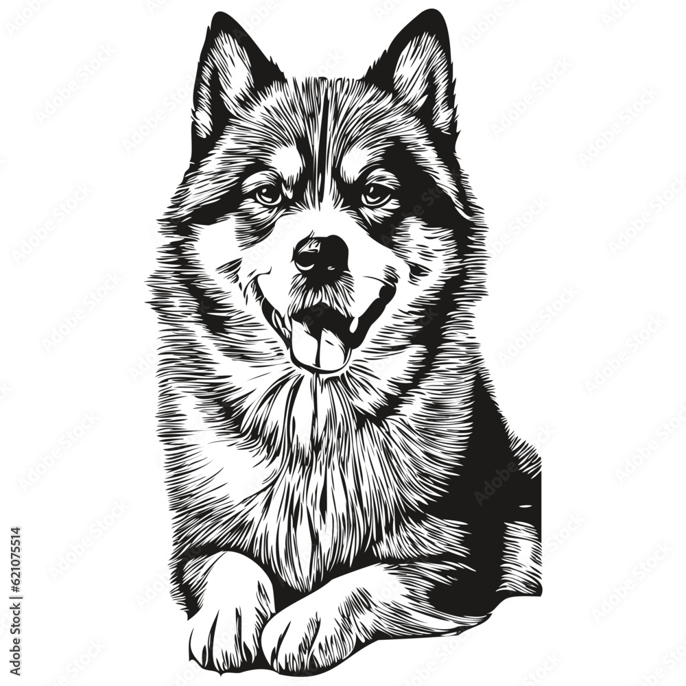 Akita dog portrait in vector, animal hand drawing for tattoo or tshirt ...