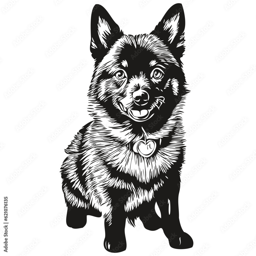 Schipperke dog pencil hand drawing vector, outline illustration pet ...