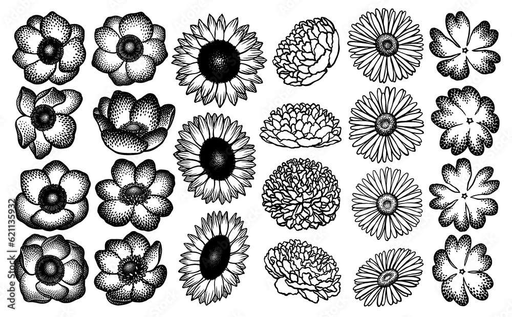 Hand drawn flower illustration set isolated on transparent background ...