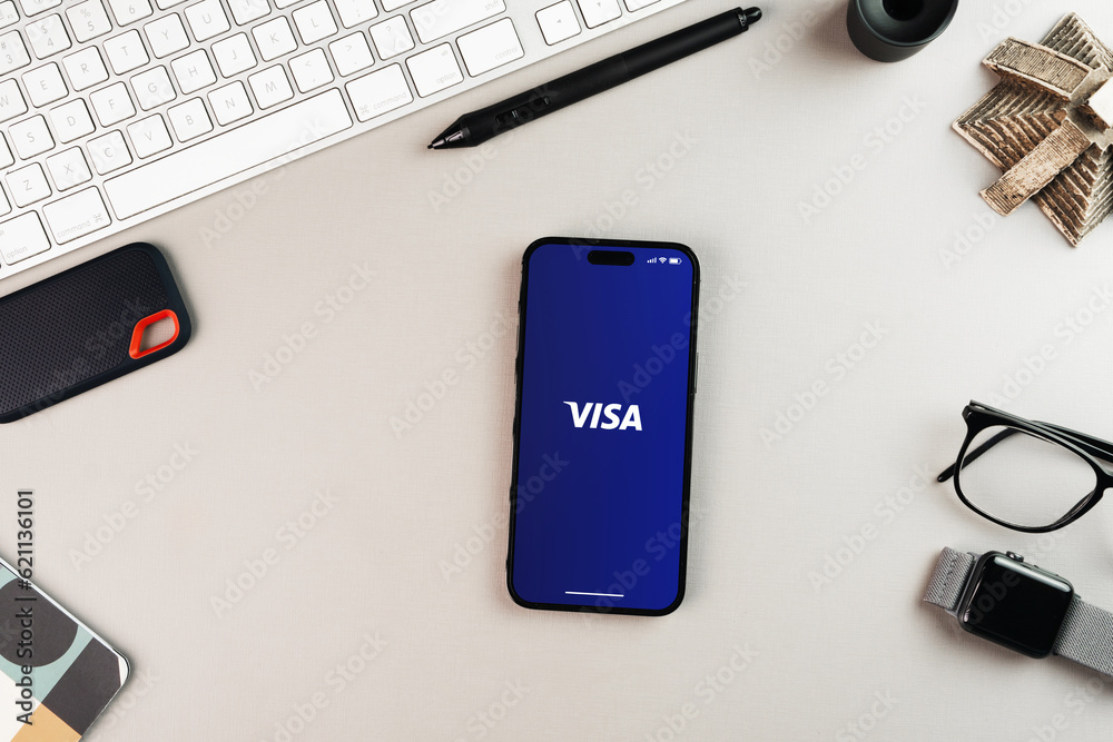 Visa app on the smartphone iPhone 14 Pro screen on gray table. Top view ...