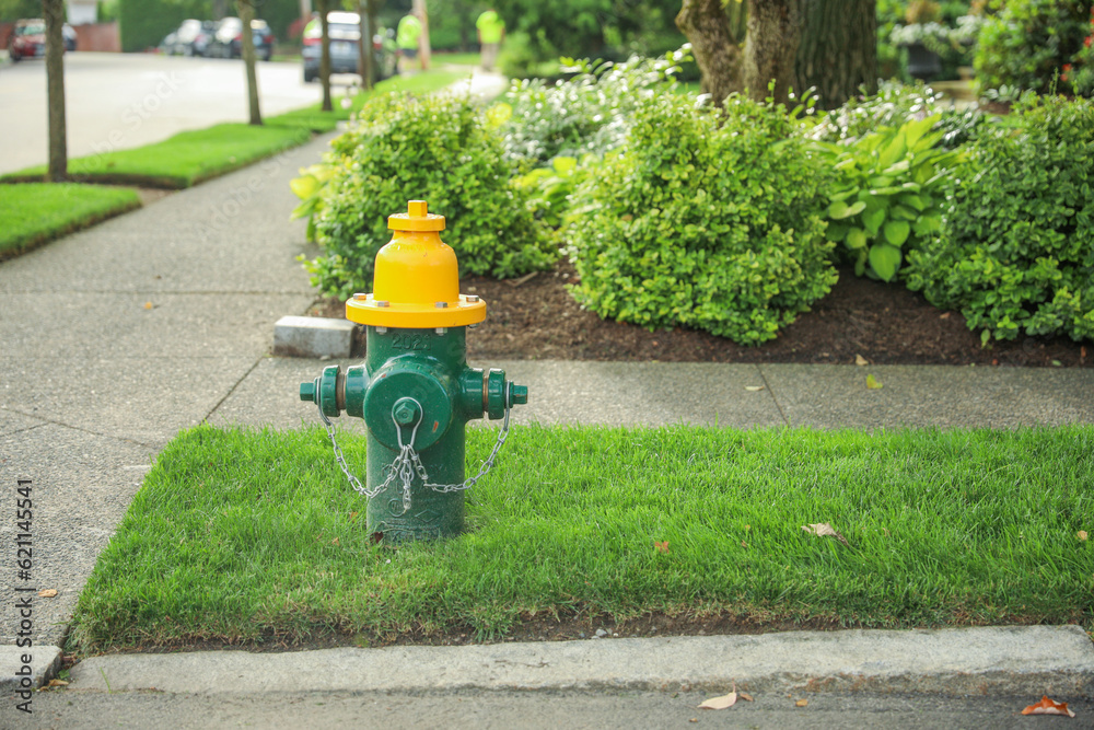 fire hydrant stands resilient on the city street, symbolizing safety ...
