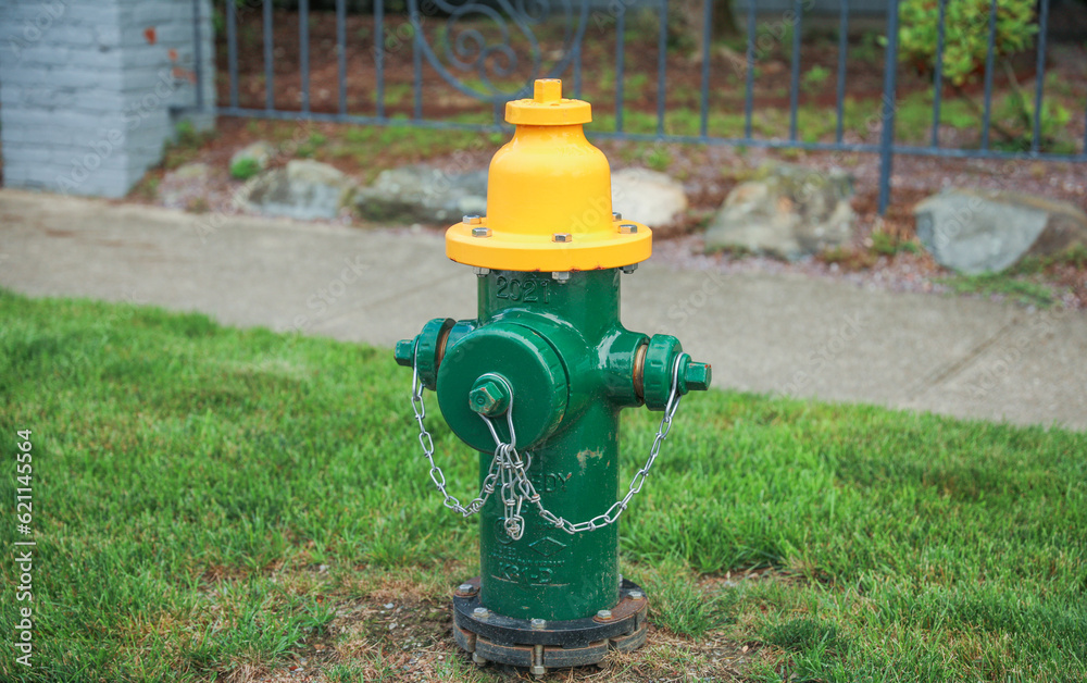 fire hydrant stands resilient on the city street, symbolizing safety ...