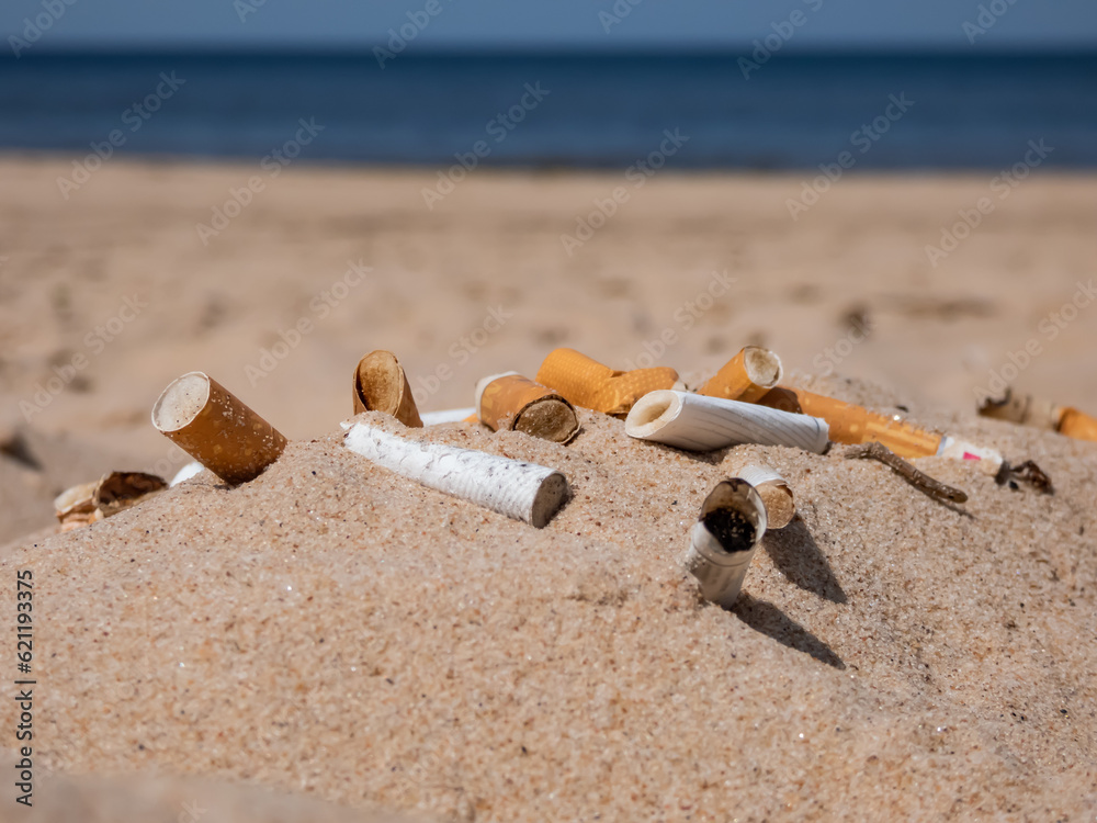 Cigarette butts in the white sand on Baltic sea beach as toxic plastic ...