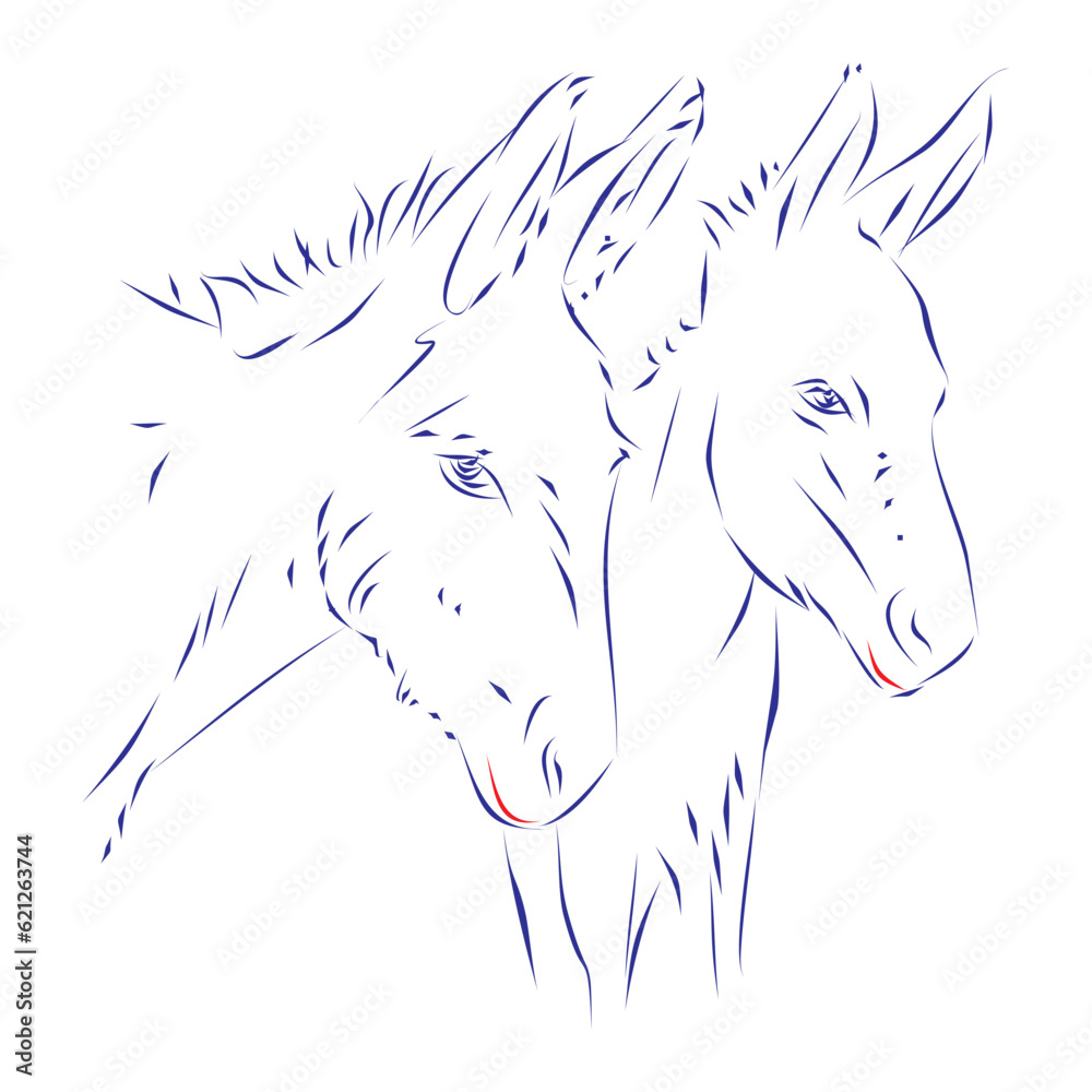 Continuous line drawing of two donkeys heads. Hand drawn, vector ...
