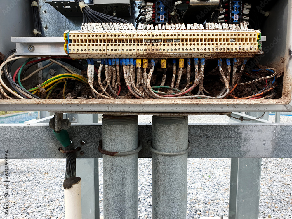 Termites build mounds inside of 115kV disconnector switch electrical ...