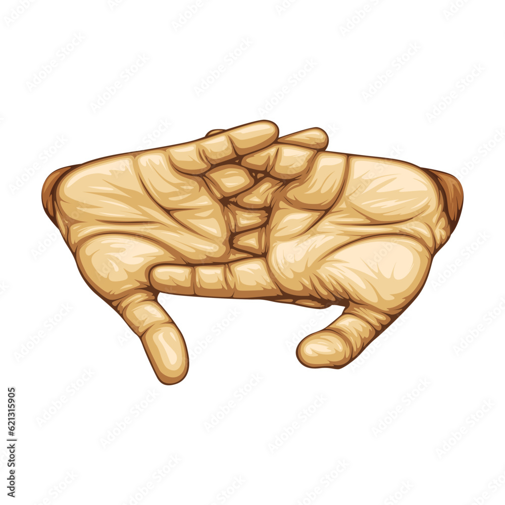 Cracking knuckle vector, detailed palm and fingers vector isolated on ...