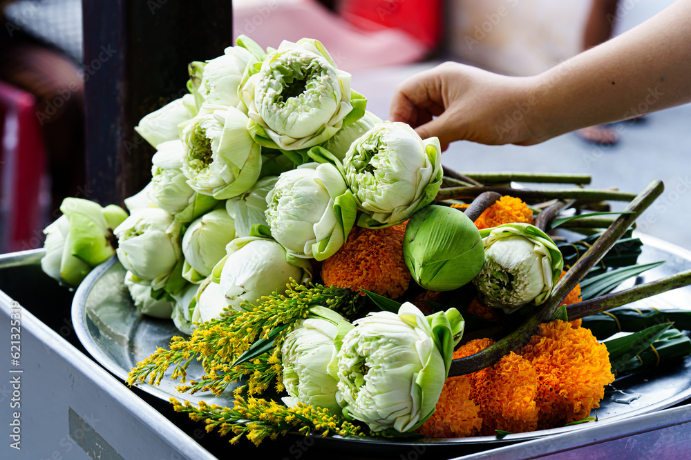 Lotus flower for praying buddha , Lotosblumen at Tempelgabe, Thailand ...