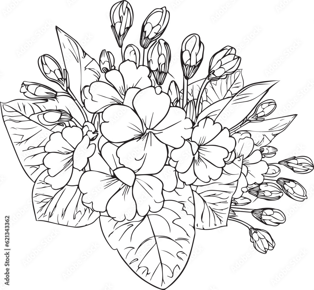 Primrose coloring book hand drawn botanical spring elements bouquet of ...