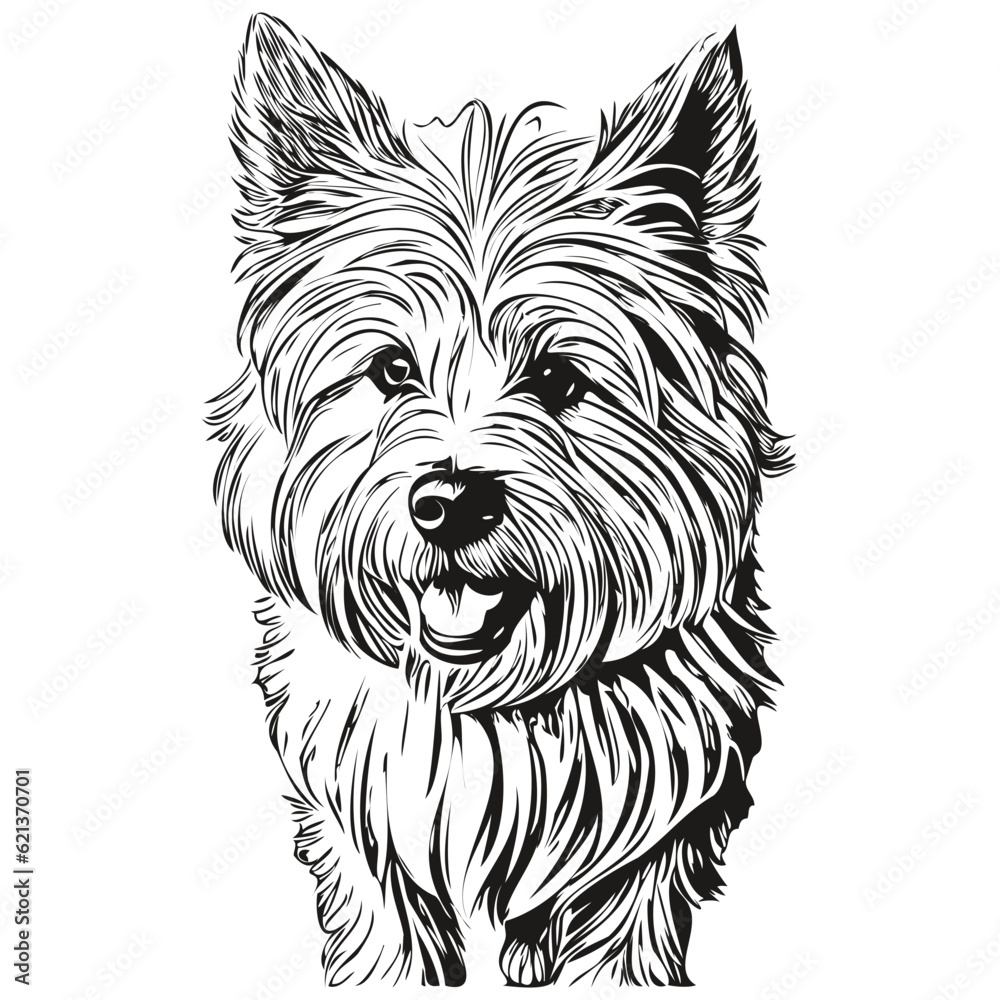 Coton de Tulear dog silhouette pet character, clip art vector pets ...
