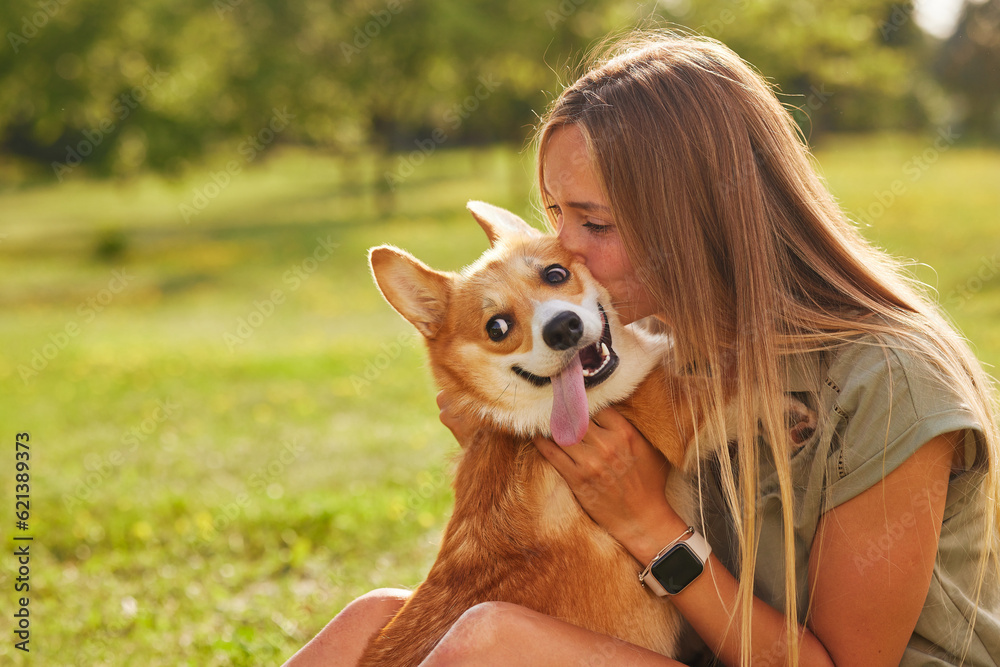 young girl hugging and kissing a cheerful Welsh Corgi and in the park ...