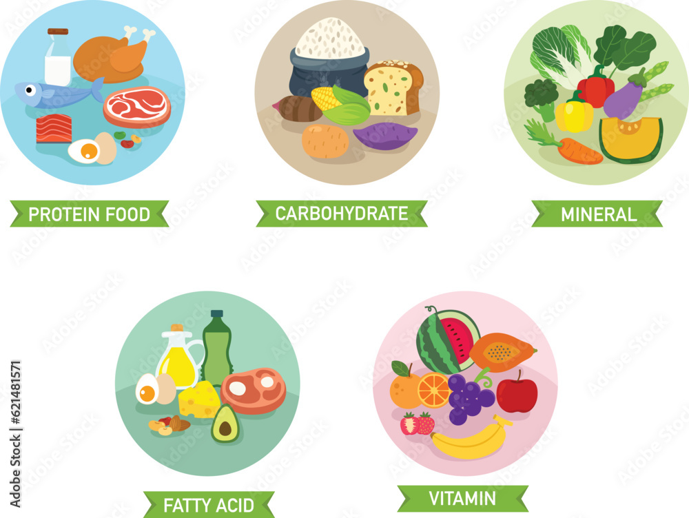 five food group vector illustration Stock Vector | Adobe Stock