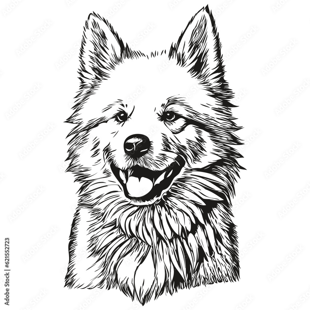 Samoyed dog vector face drawing portrait, sketch vintage style ...