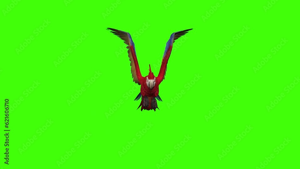 Video Stock 3D realistic front view of Red and green macaw parrot ...