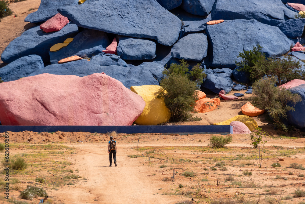 Famous painted rocks in the Tafraoute valley in Southern Morocco Stock ...