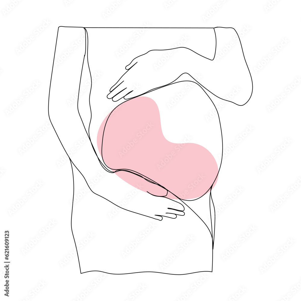 pregnant woman hugging belly line art vector. pregnant woman continuous ...