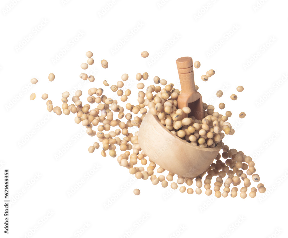 Soy Bean flying explosion in sack bag, yellow grain beans explode ...