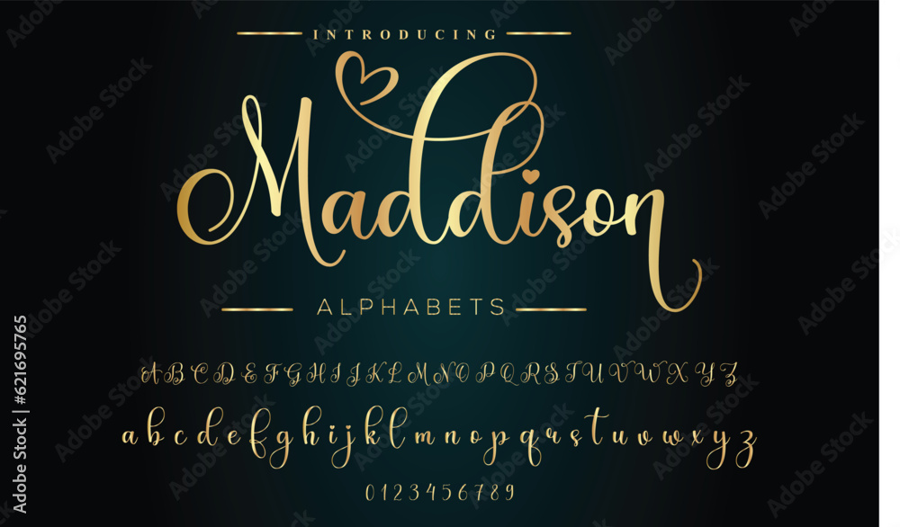 Hand drawn vector alphabet. Script font. Isolated letters written with ...