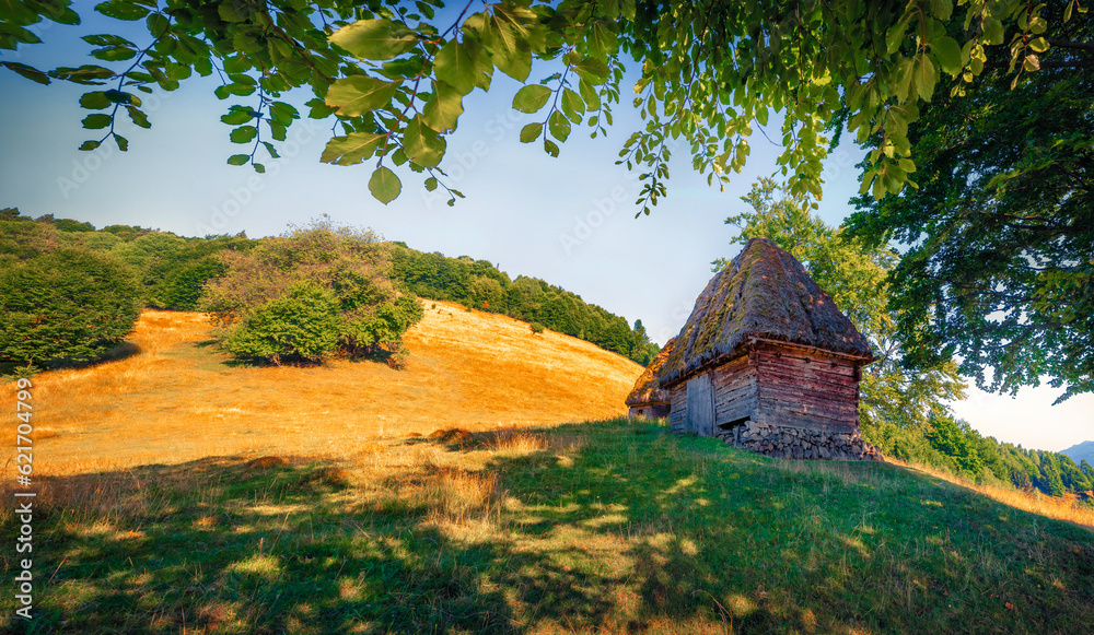 Romanian village with traditional peasant house. Attractive rustic ...