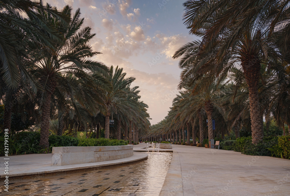 Large green evening park in the big city, Umm Al Emarat Park in Abu ...