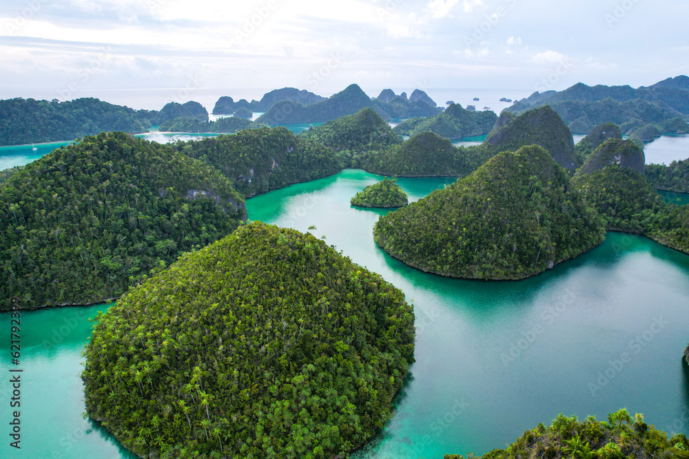 View from the top of the Wayag Islands. Blue Lagoon with Green Rocks ...