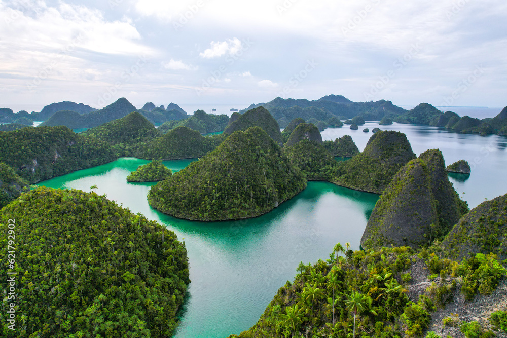 View from the top of the Wayag Islands. Blue Lagoon and limestone ...