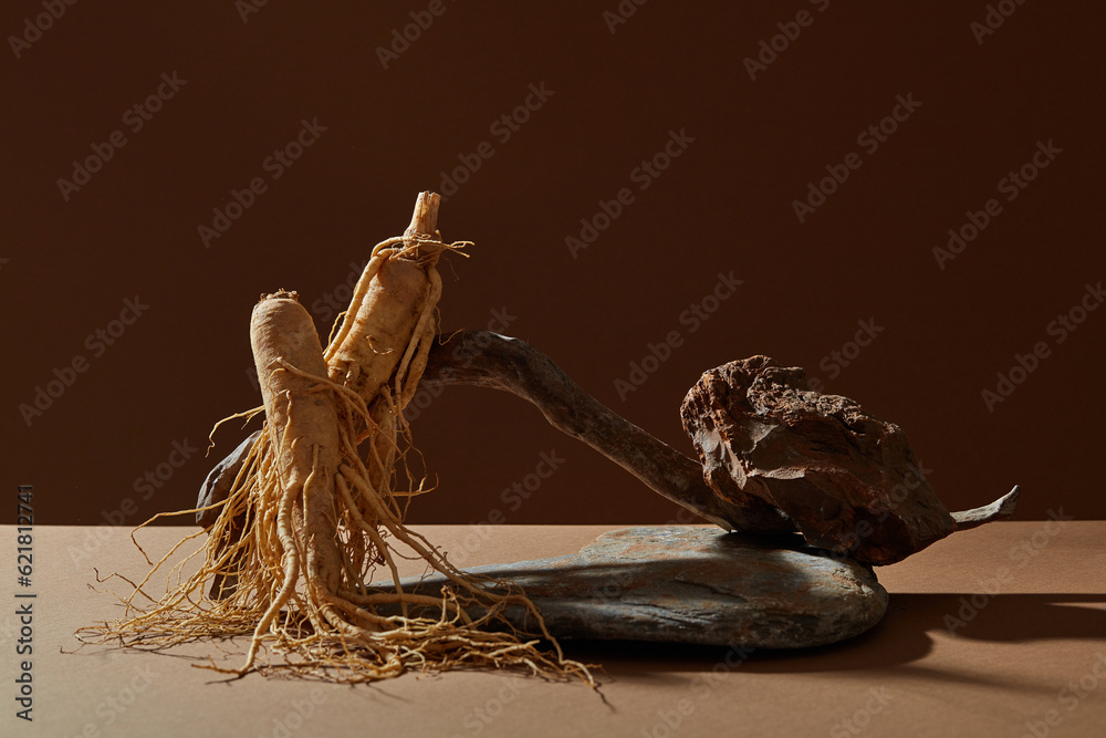 Ginseng roots displayed with some stones on dark background. Ginseng ...