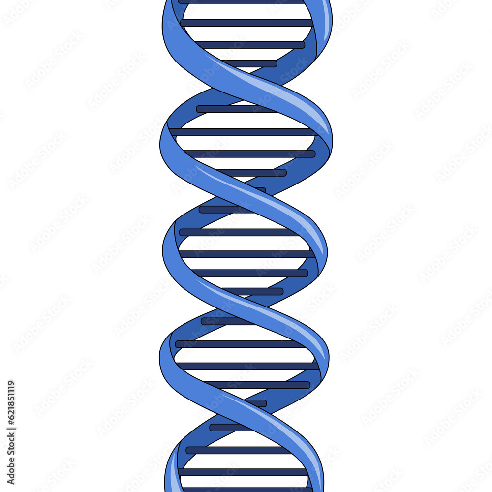 DNA Deoxyribonucleic acid spiral double helix schematic diagram ...