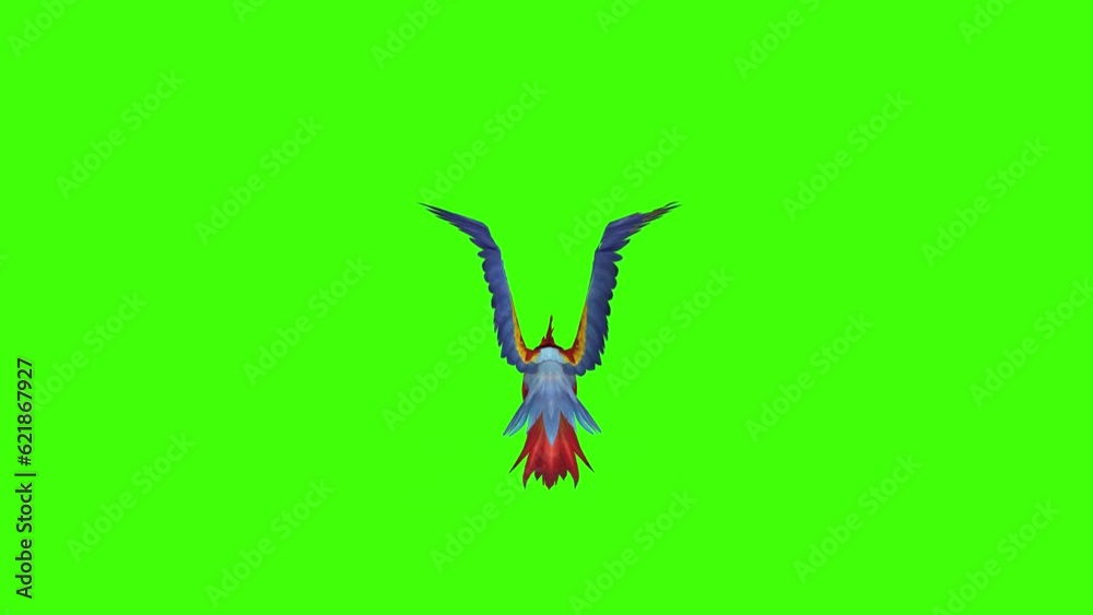 Vidéo Stock 3D realistic back view of a Red and green macaw parrot ...