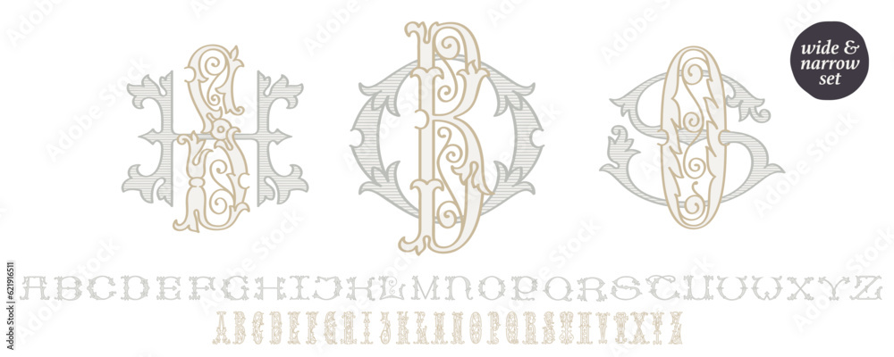 Wedding monograms creator kit. Elegant historical style alphabet for ...