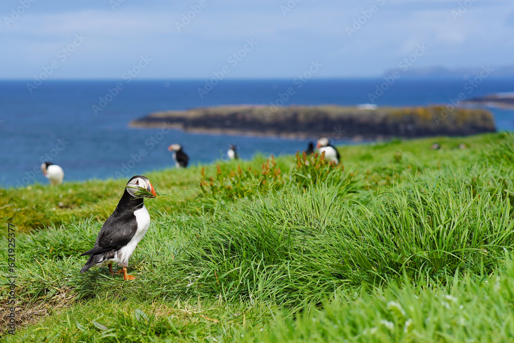 Lunga Island