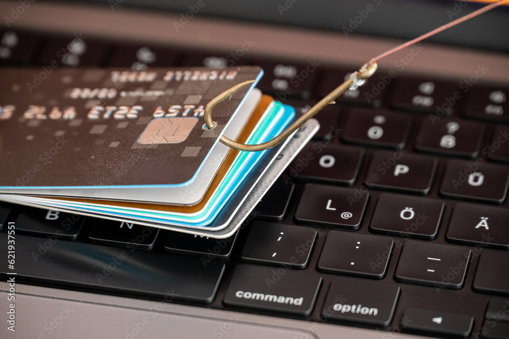 Visualisation of phishing and online fraud by a phished credit card on ...