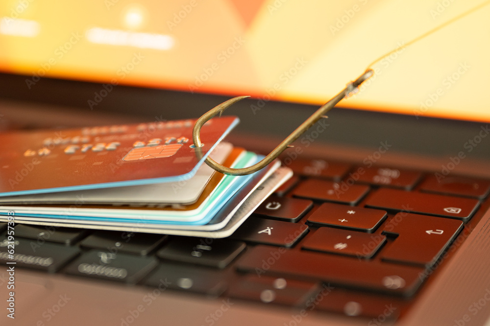 Visualisation of phishing and online fraud by a phished credit card on ...