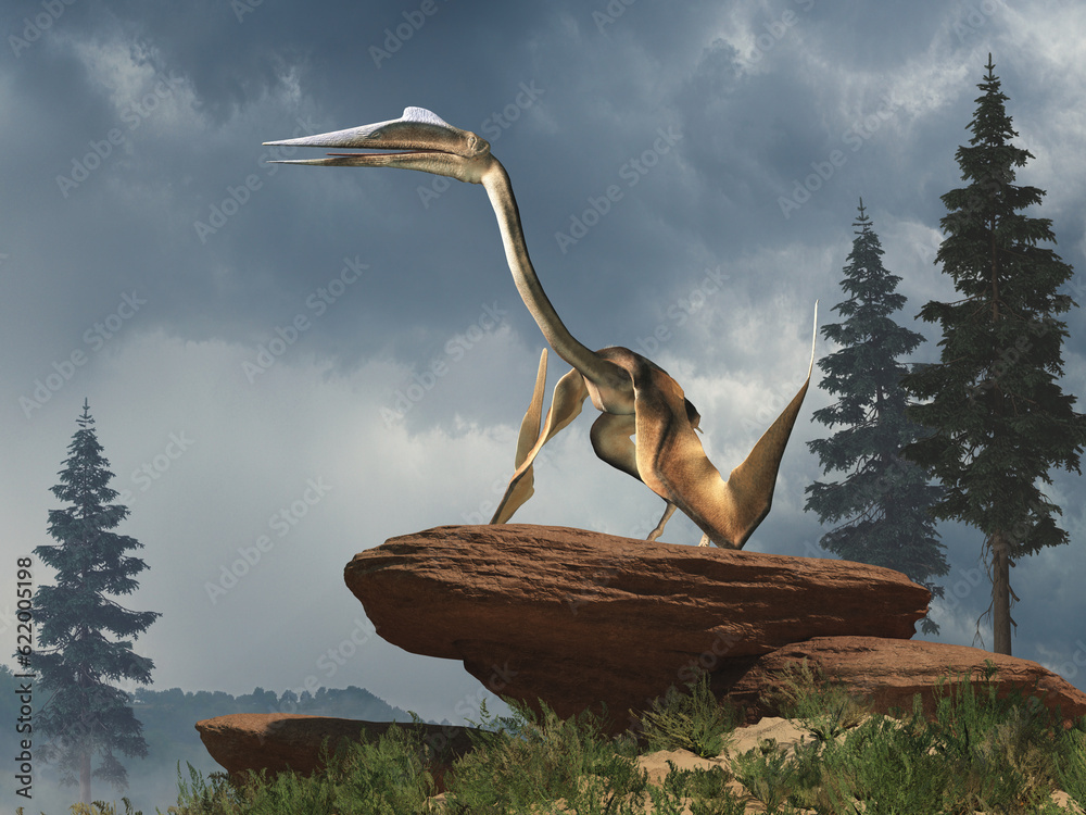Quetzalcoatlus Was A Carnivorous Pterosaur Reptile That New Fossils