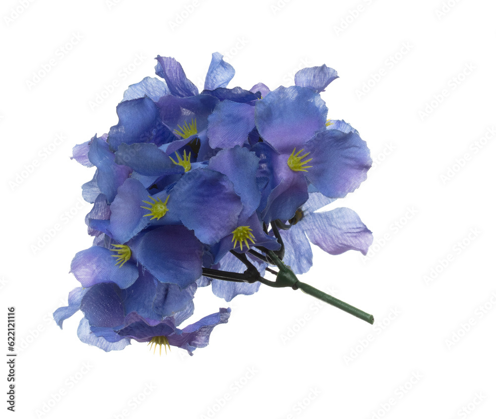 Blue purple Hepatica nobilis Flower is work life. Blue Hepatica nobills ...