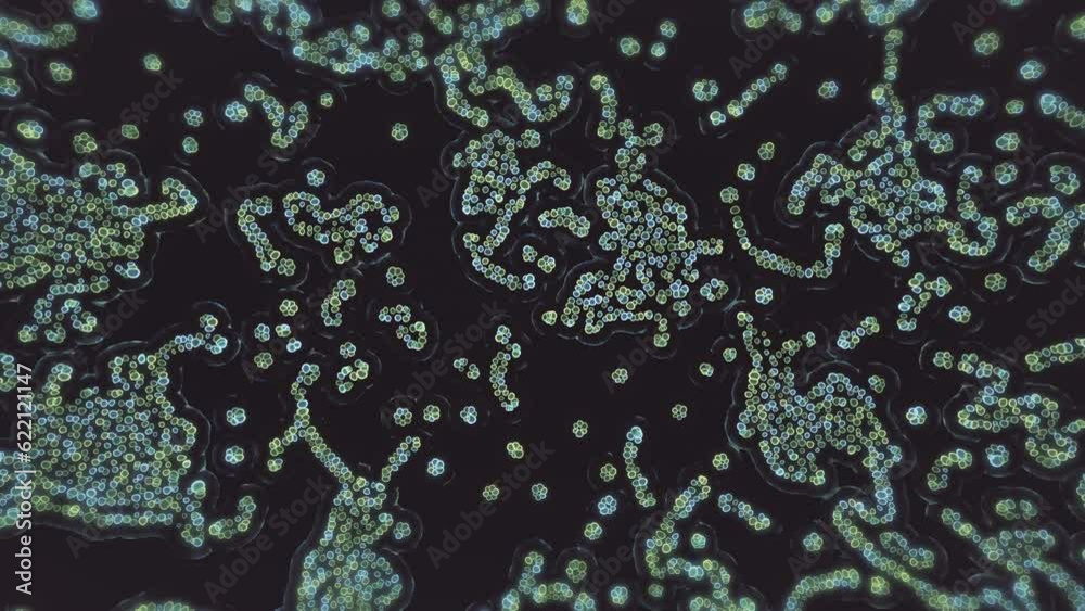 Bacteria moving dynamically clumping into groups, green spherical germs ...